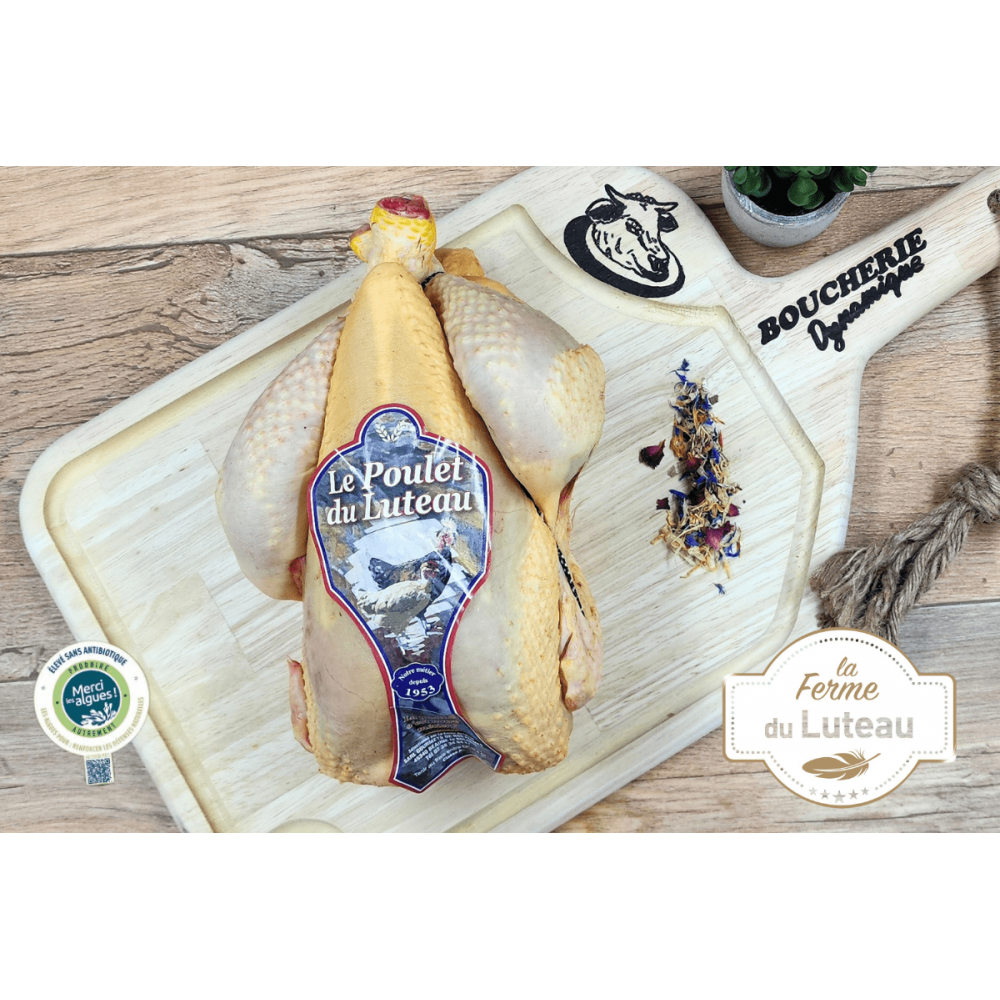 Poulet de la Ferme du Luteau | Boucherie Dynamique livraison de viande ...